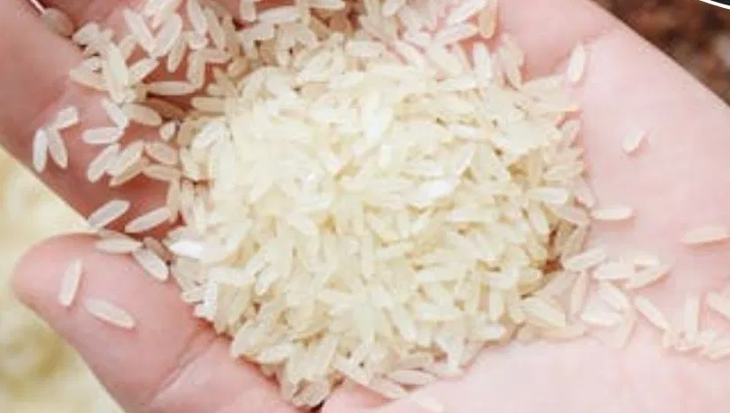 Are You Eating Fake Rice? Simple Ways to Detect Rice Adulteration at ...
