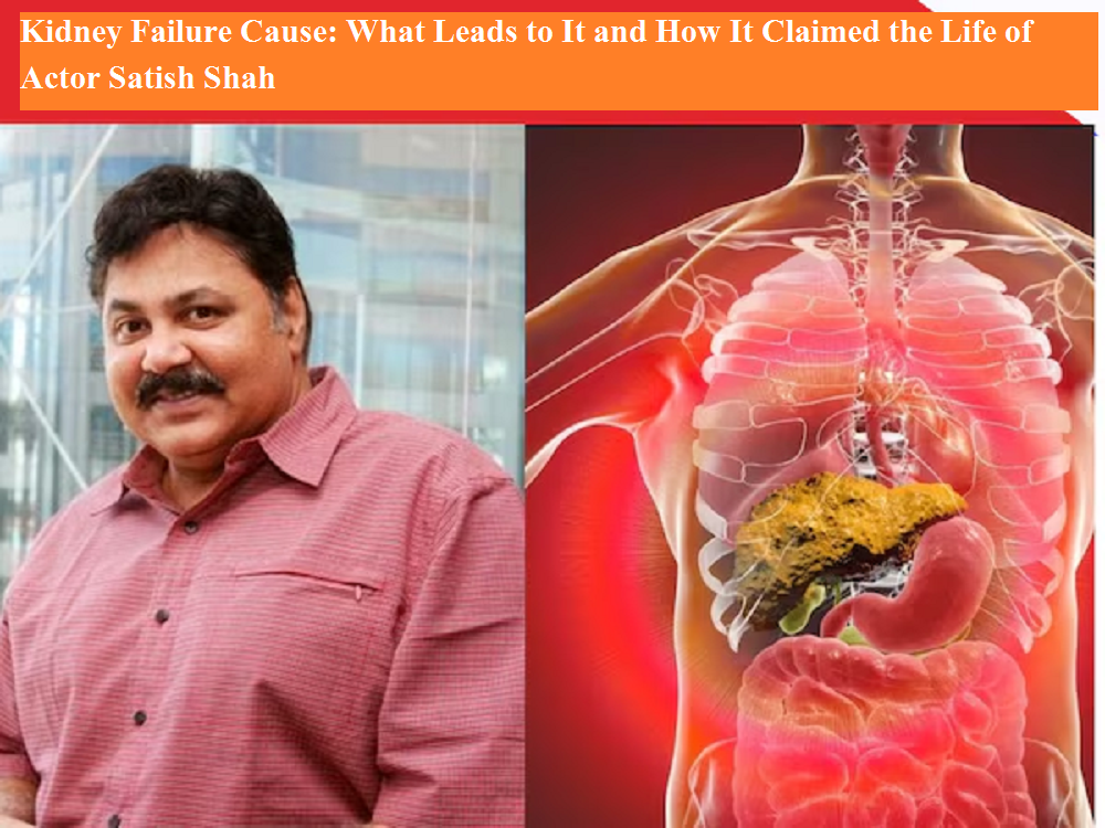 Kidney Failure Cause: What Leads to It and How It Claimed the Life of ...