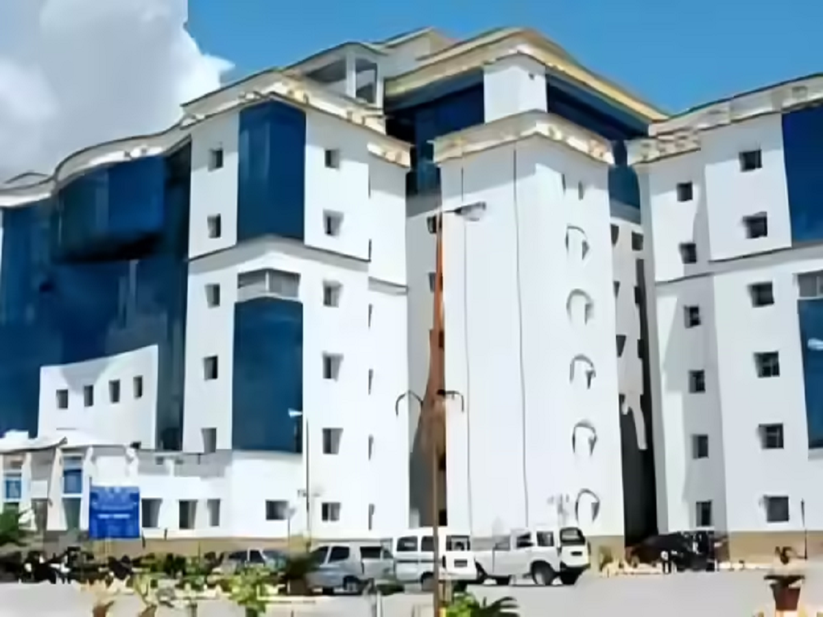 The young woman had two private parts, two uteruses, and no urinary ...