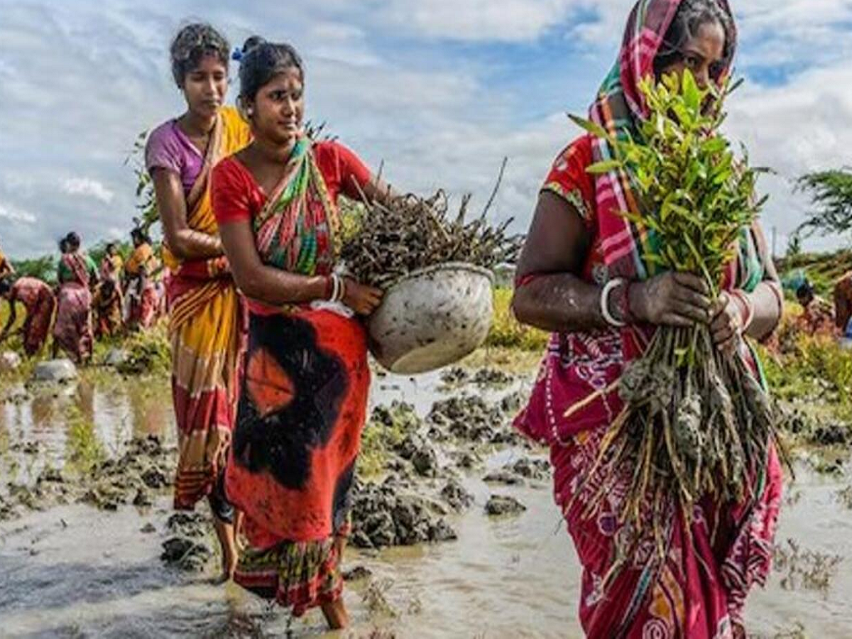 Out with MGNREGA, In with VB-GRAM G: How the New 125-Day Rural Work ...