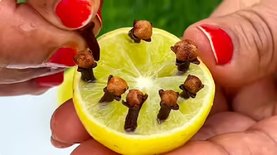 A clove plant can easily grow in a pot. Gardening gurus have suggested ...